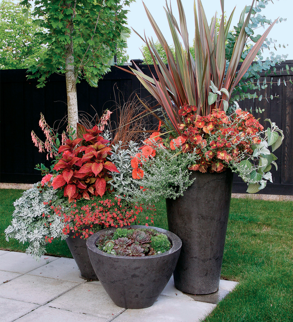 Great Designs for Container Groupings - Fine Gardening