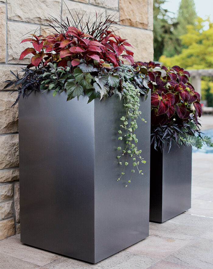Great Designs for Container Groupings - Fine Gardening