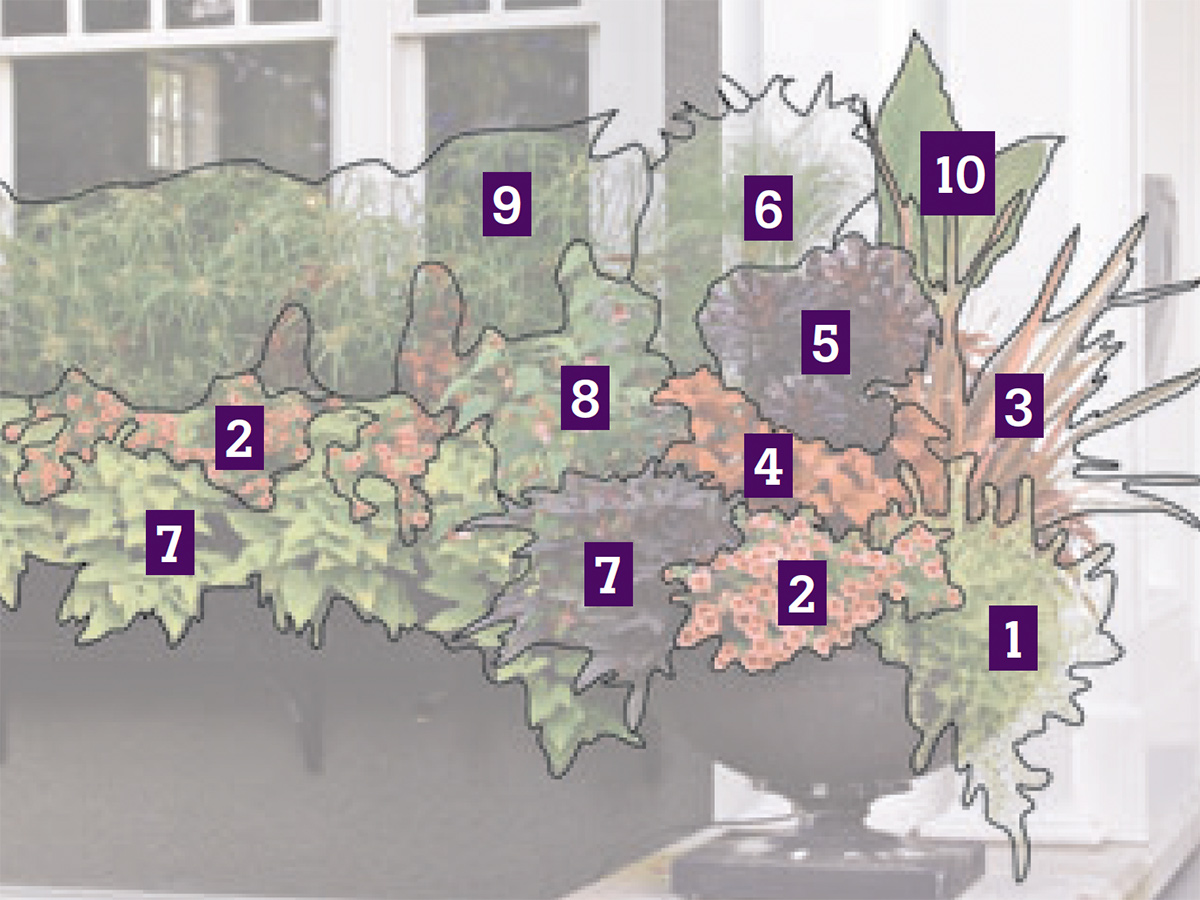 Great Designs for Container Groupings - Fine Gardening