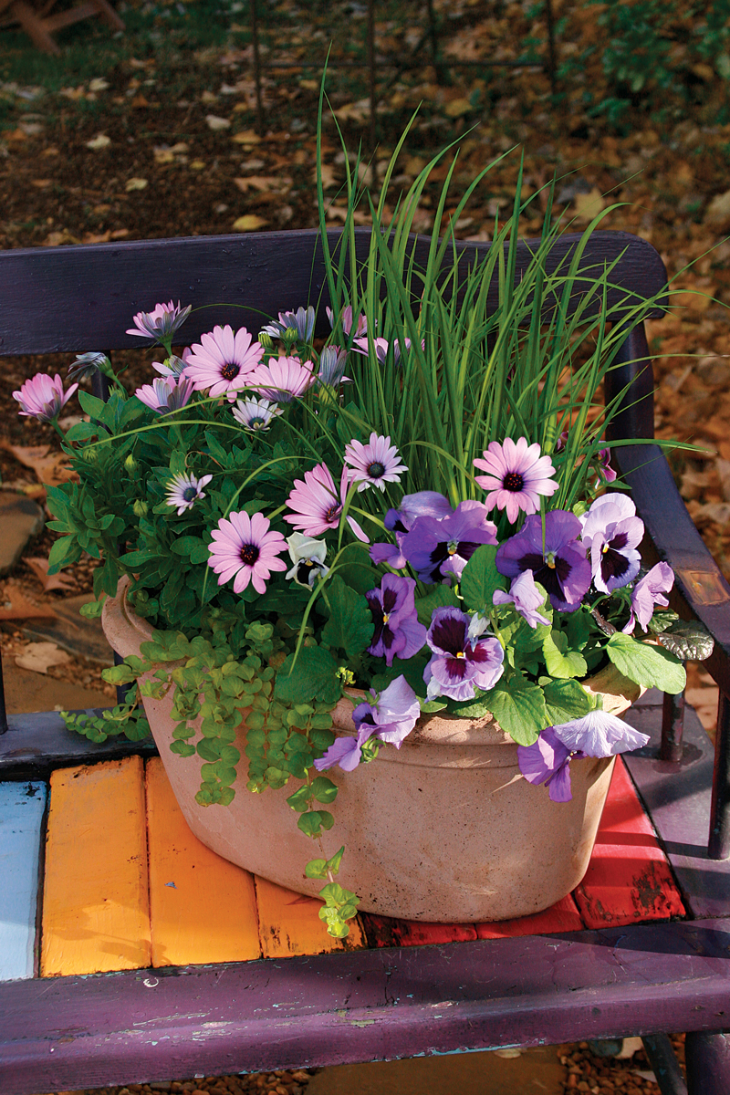 Welcome Spring with These Container Designs - Fine Gardening