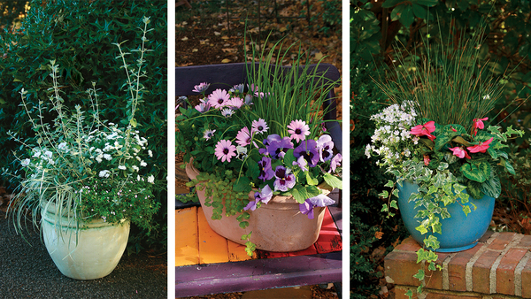 Spring Container Designs - Fine Gardening