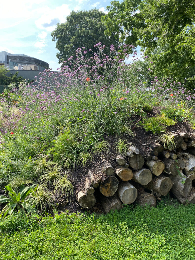 A Hugel Garden - Fine Gardening