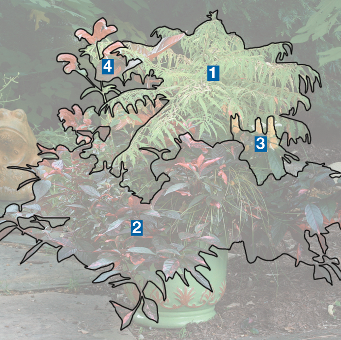 Creative Container Designs That Welcome Summer - Fine Gardening