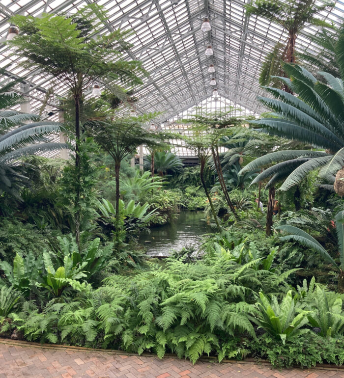 GPOD on the Road: Garfield Park Conservatory - Fine Gardening