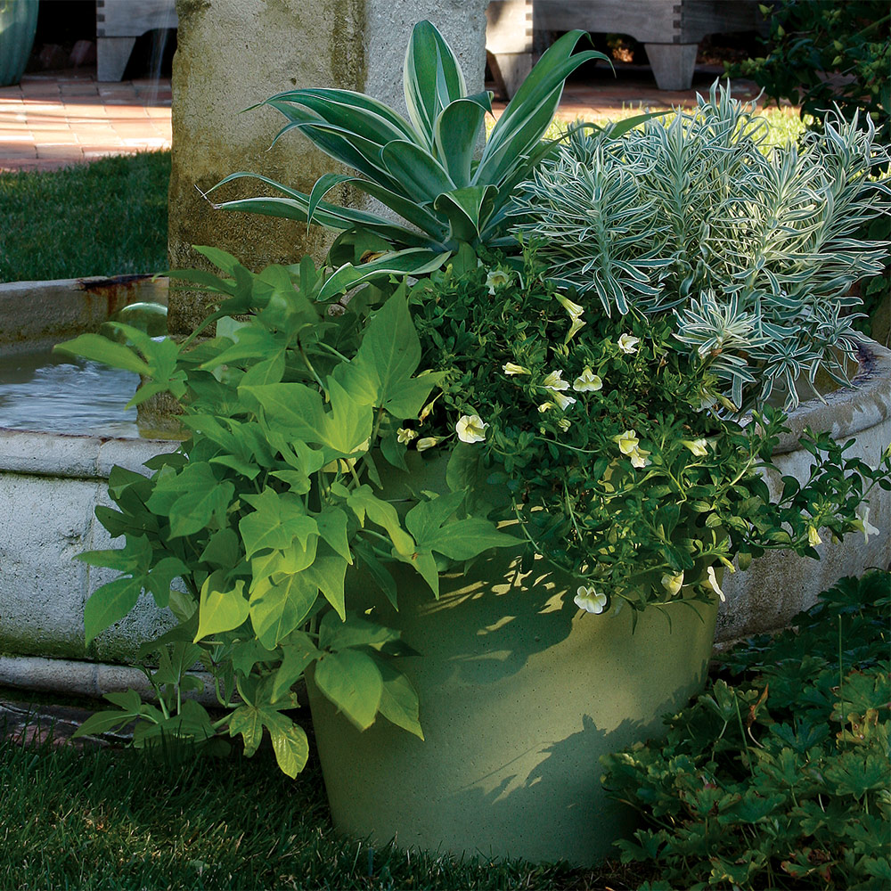 Spectacular Summer Container Designs: Part 1 - Fine Gardening