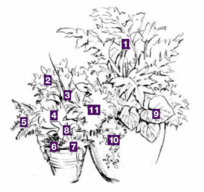 Spectacular Summer Container Designs: Part 2 - Fine Gardening