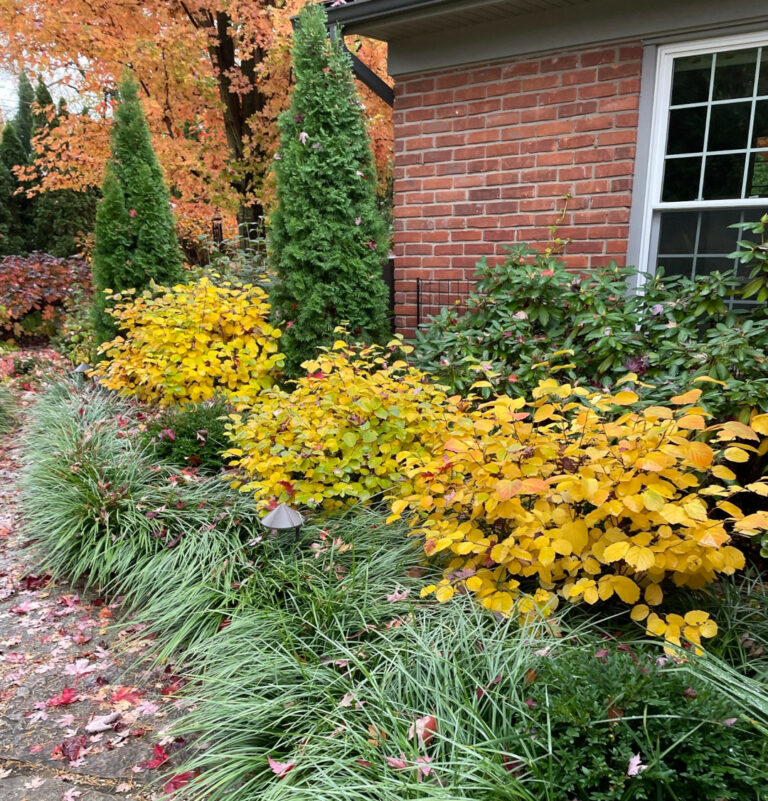 Nick’s Michigan Garden - Fine Gardening