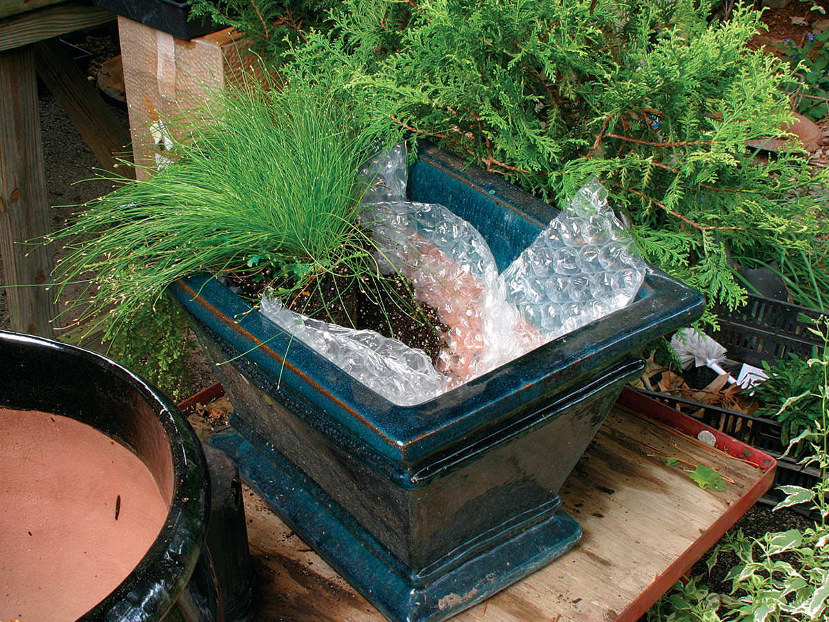 Cold-Weather Combinations for Fall Containers - Fine Gardening