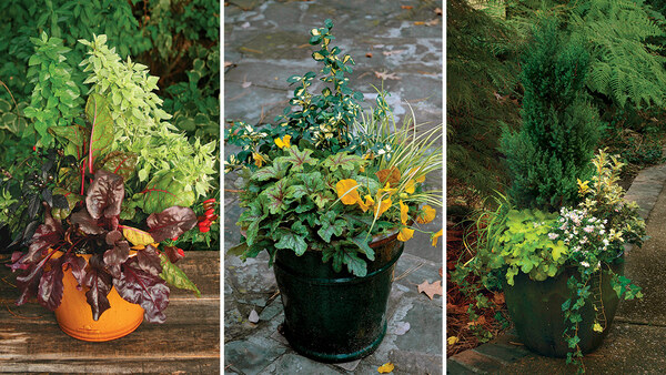 Great Garden Combinations for Fall - Fine Gardening