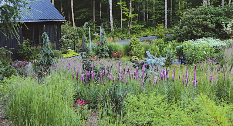 How to Design a Stylized Meadow Garden - Fine Gardening