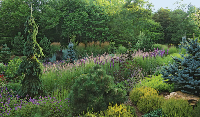 How to Design a Stylized Meadow Garden - Fine Gardening