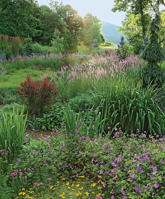 How to Design a Stylized Meadow Garden - Fine Gardening