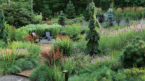 How to Design a Stylized Meadow Garden - Fine Gardening