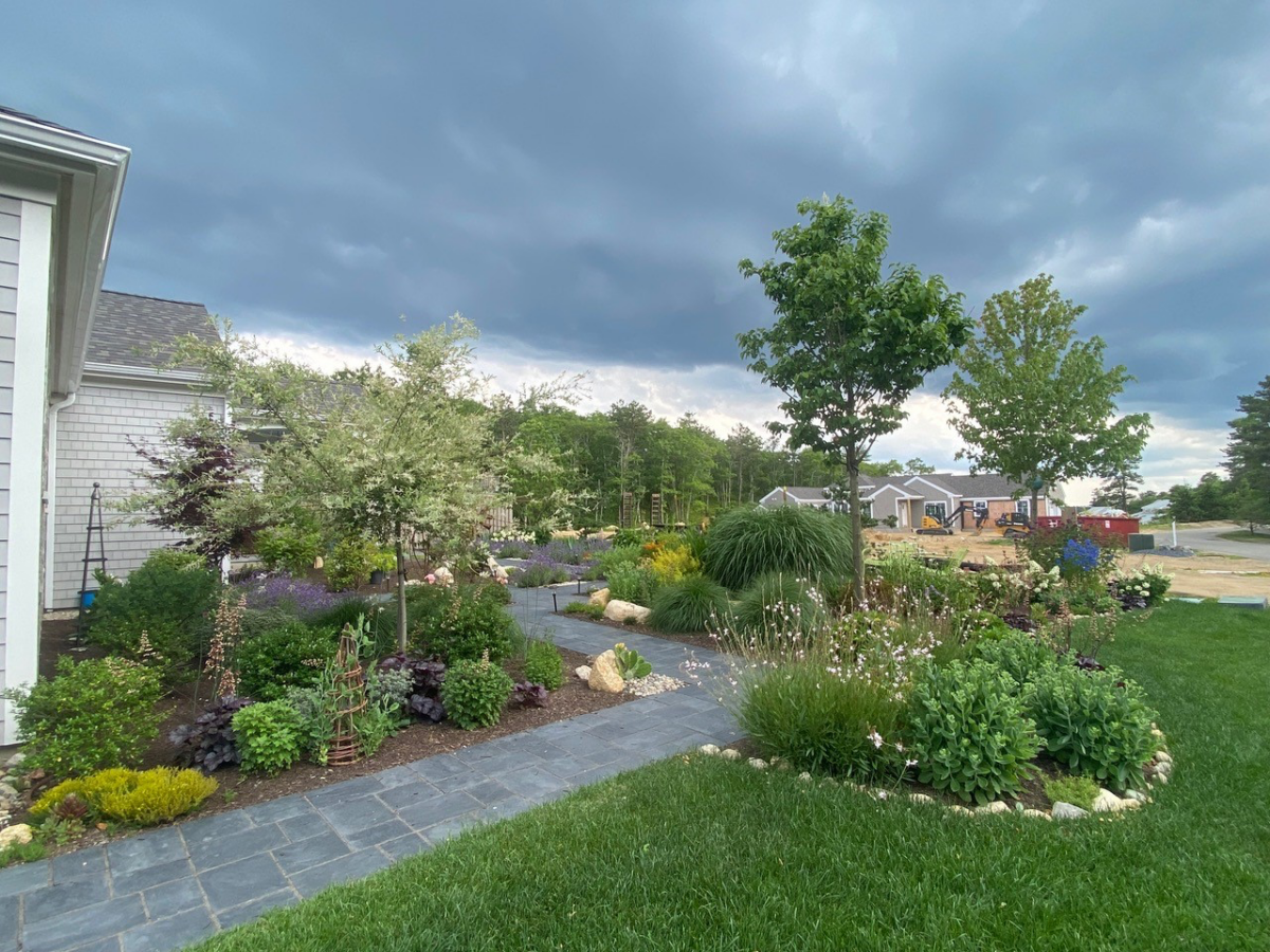 A New Garden in Massachusetts - Fine Gardening