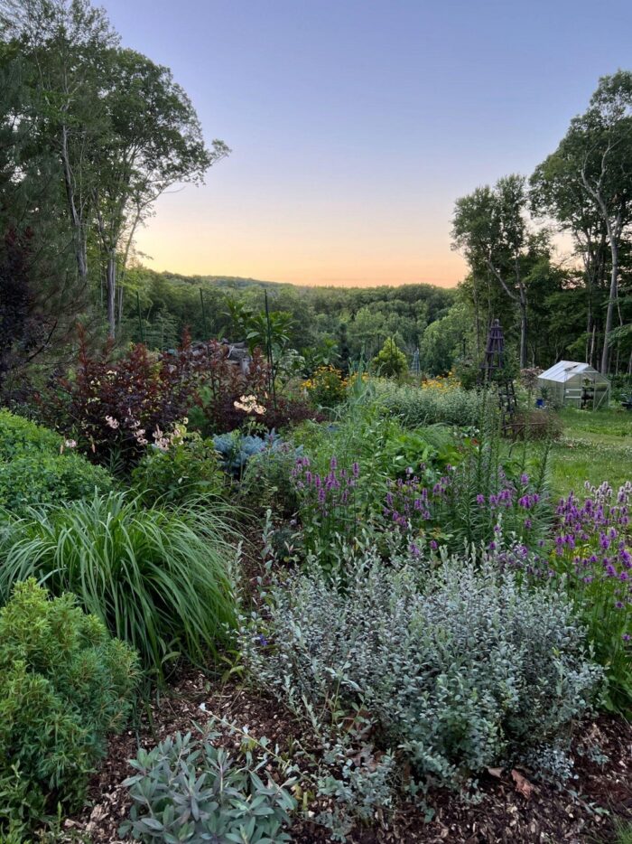 Chad and Seyra’s Garden - Fine Gardening