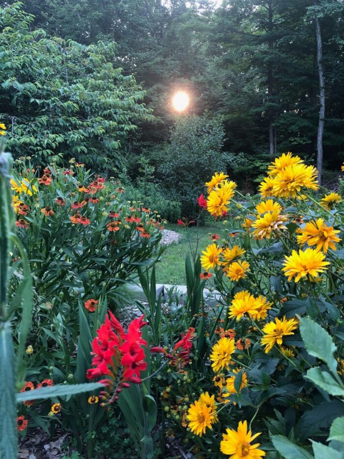 Return to Chad and Seyra’s Garden - Fine Gardening
