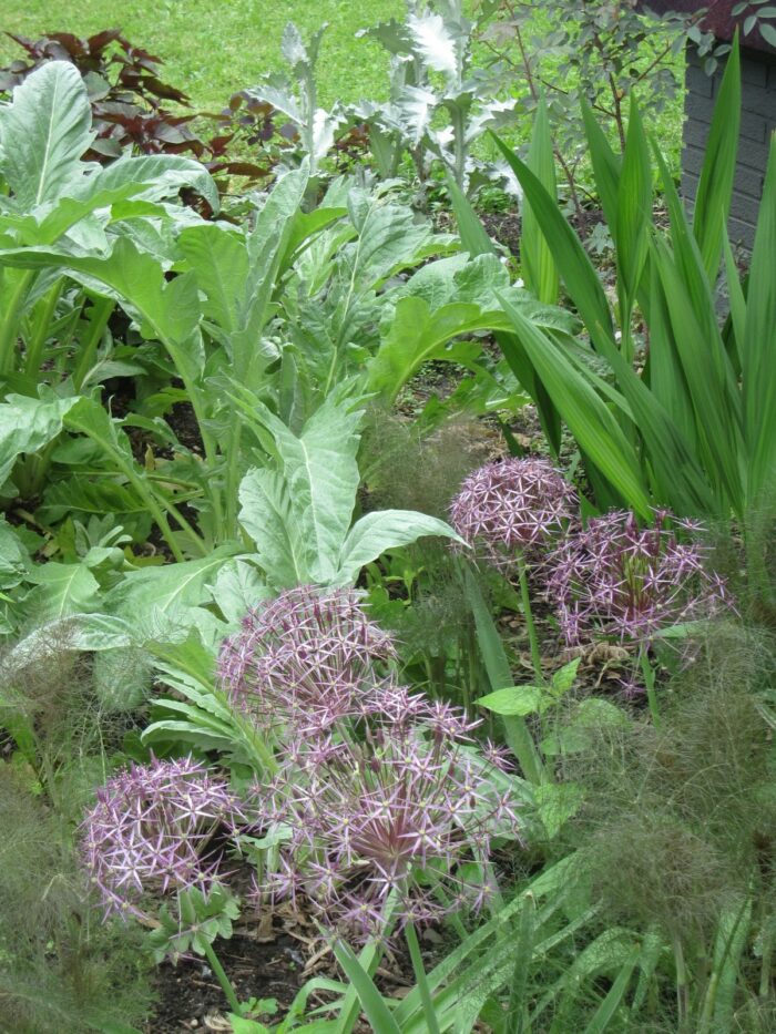 Looking Back at an Old Garden - Fine Gardening