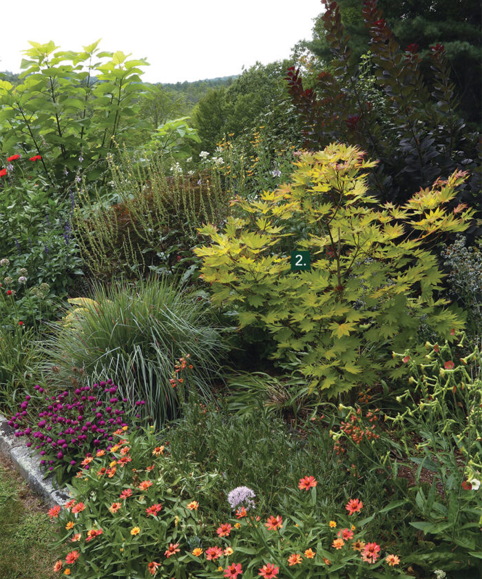 How to Make Changes to an Overgrown Garden - Fine Gardening