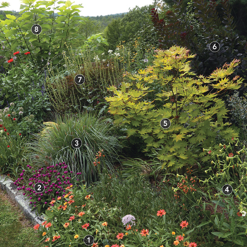Planting Plan for a Mature Garden Makeover - Fine Gardening