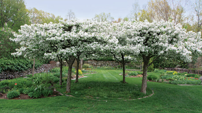 Use Geometry to Create a Beautiful Garden Plan - Fine Gardening