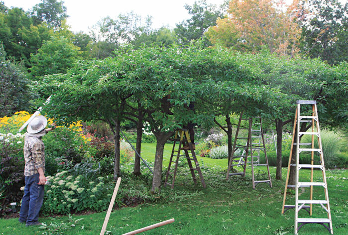 Use Geometry to Create a Beautiful Garden Plan - Fine Gardening