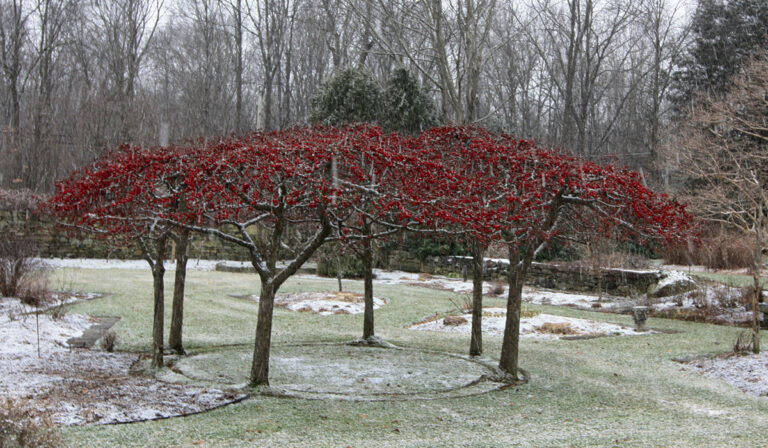 Use Geometry to Create a Beautiful Garden Plan - Fine Gardening