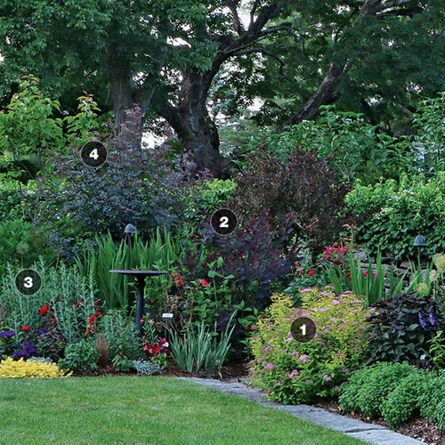 5 Bold Plants With Stunning Structure - Fine Gardening