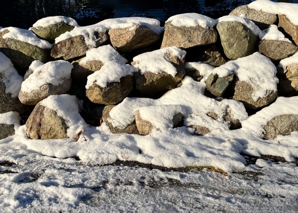 Celebrating Winter Beauty - Fine Gardening