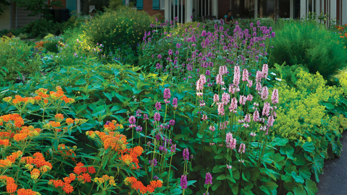 Ready, Set, Spring! | Letter from the Editor - Fine Gardening
