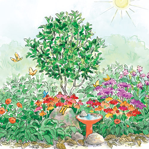 How to Build a Successful Butterfly Garden - Fine Gardening
