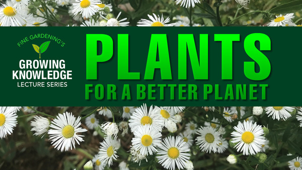 Plants for a Better Planet - Fine Gardening