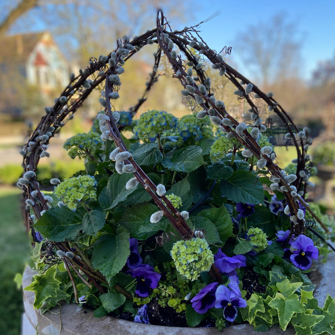 Spring Container Designs - Fine Gardening