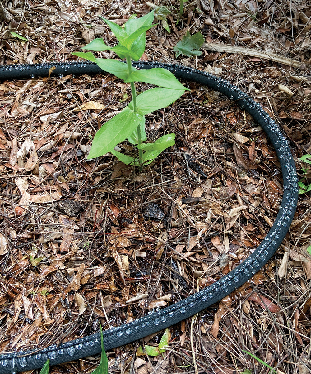 Water Smarter: Find the Best Watering Method for Your Situation - Fine ...