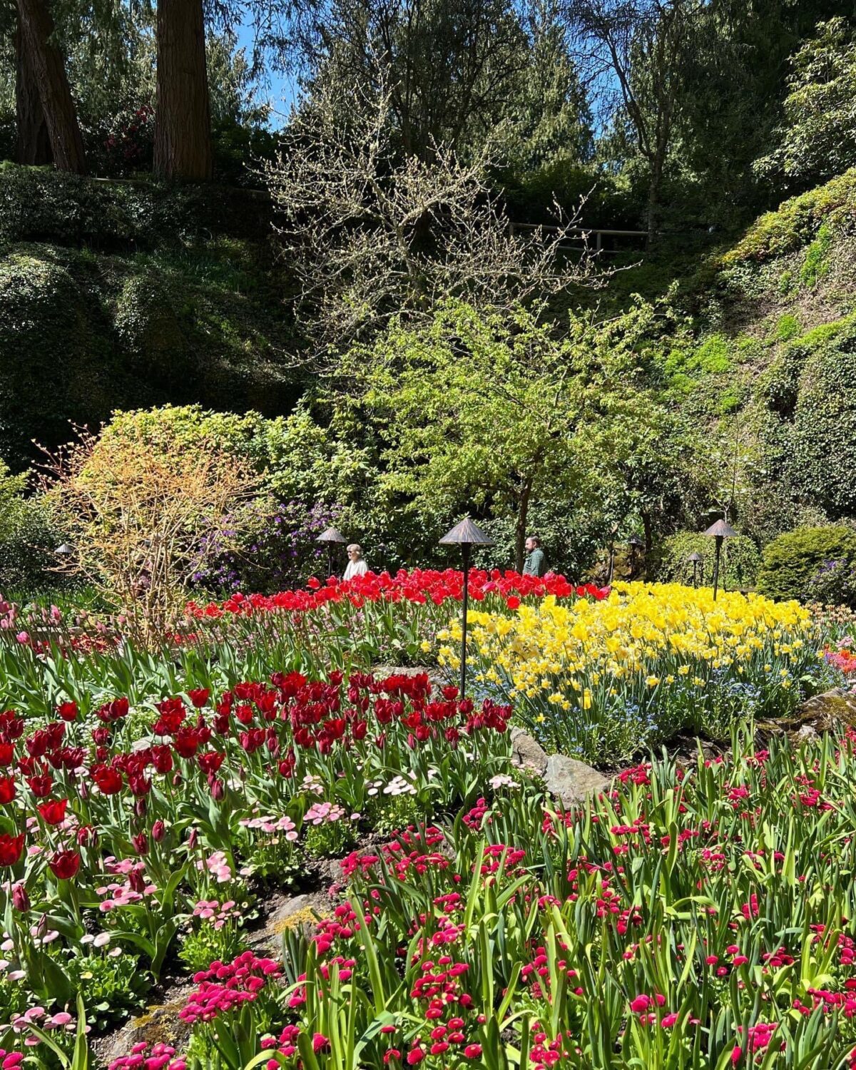 GPOD on the Road: Spring at Butchart - Fine Gardening