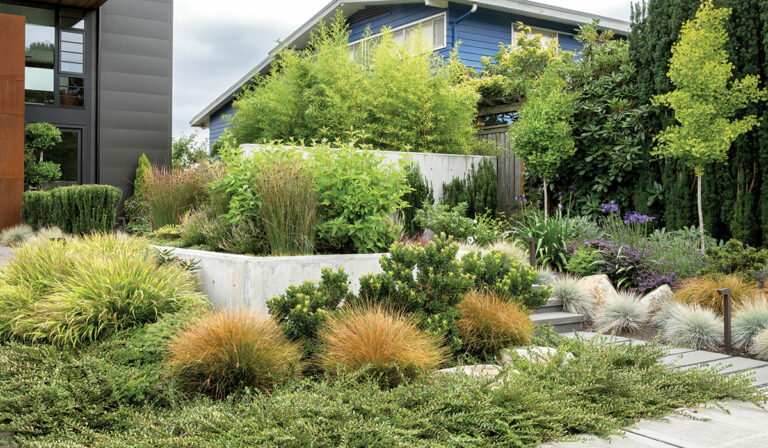 A Stunning Modern Landscape Design for a Contemporary Home - Fine Gardening