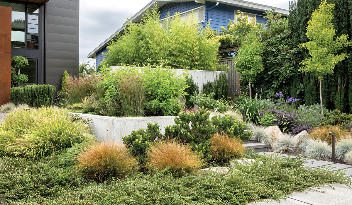 A Stunning Modern Landscape Design for a Contemporary Home - Fine Gardening