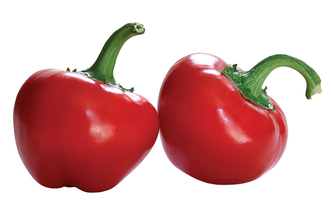 The Best Hot Pepper Varieties to Grow - Fine Gardening