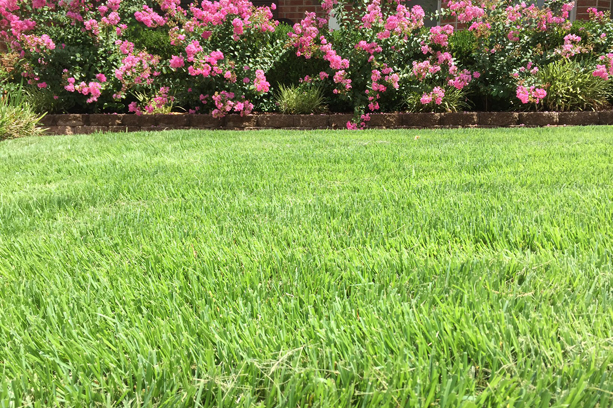 Planning a Firewise Landscape - Fine Gardening