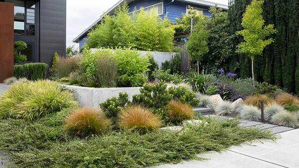 Modern Garden Design Ideas - Fine Gardening