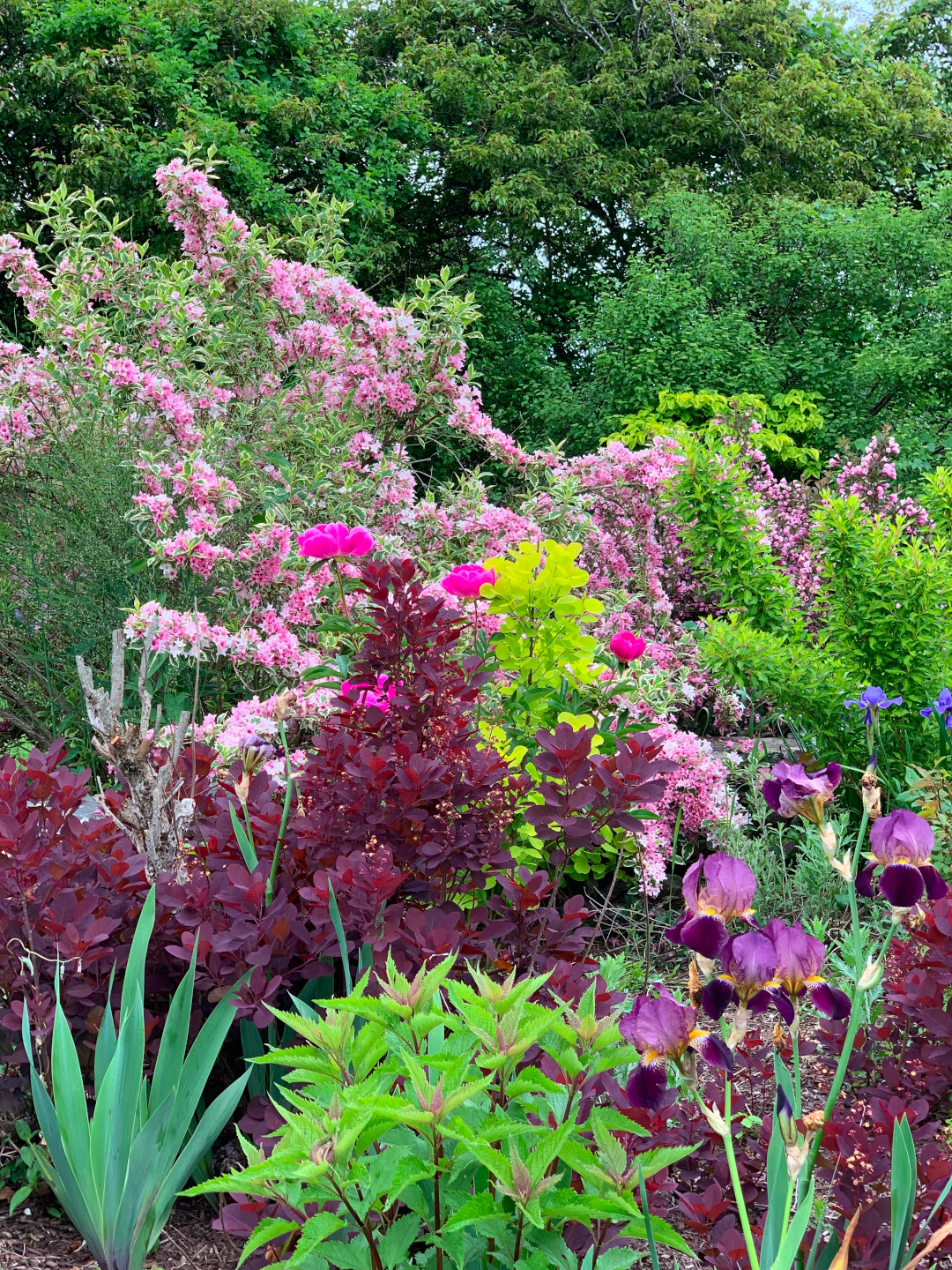 Glendon’s Rhode Island Garden - Fine Gardening