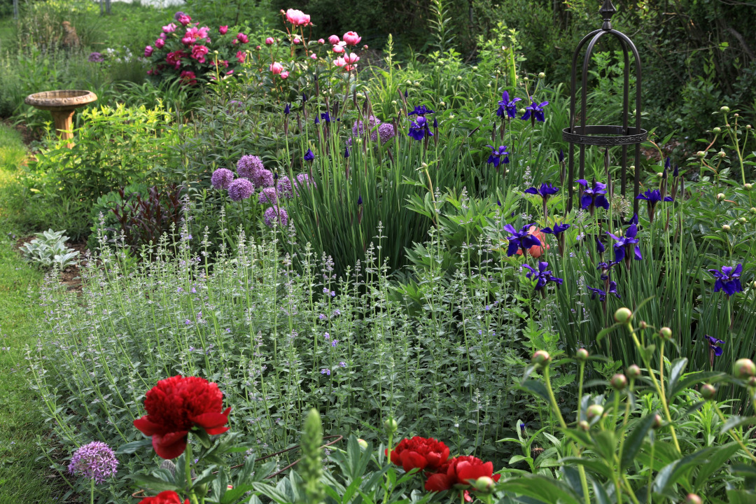 Bill’s Pittsburgh Garden - Fine Gardening