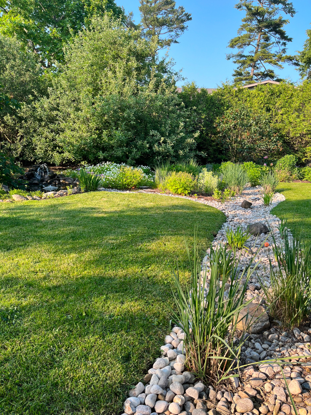 Helen’s Mostly Native Garden - Fine Gardening