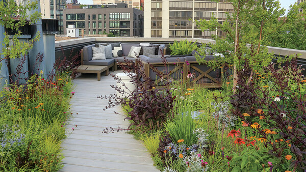Naturalizing an Urban Garden - Fine Gardening