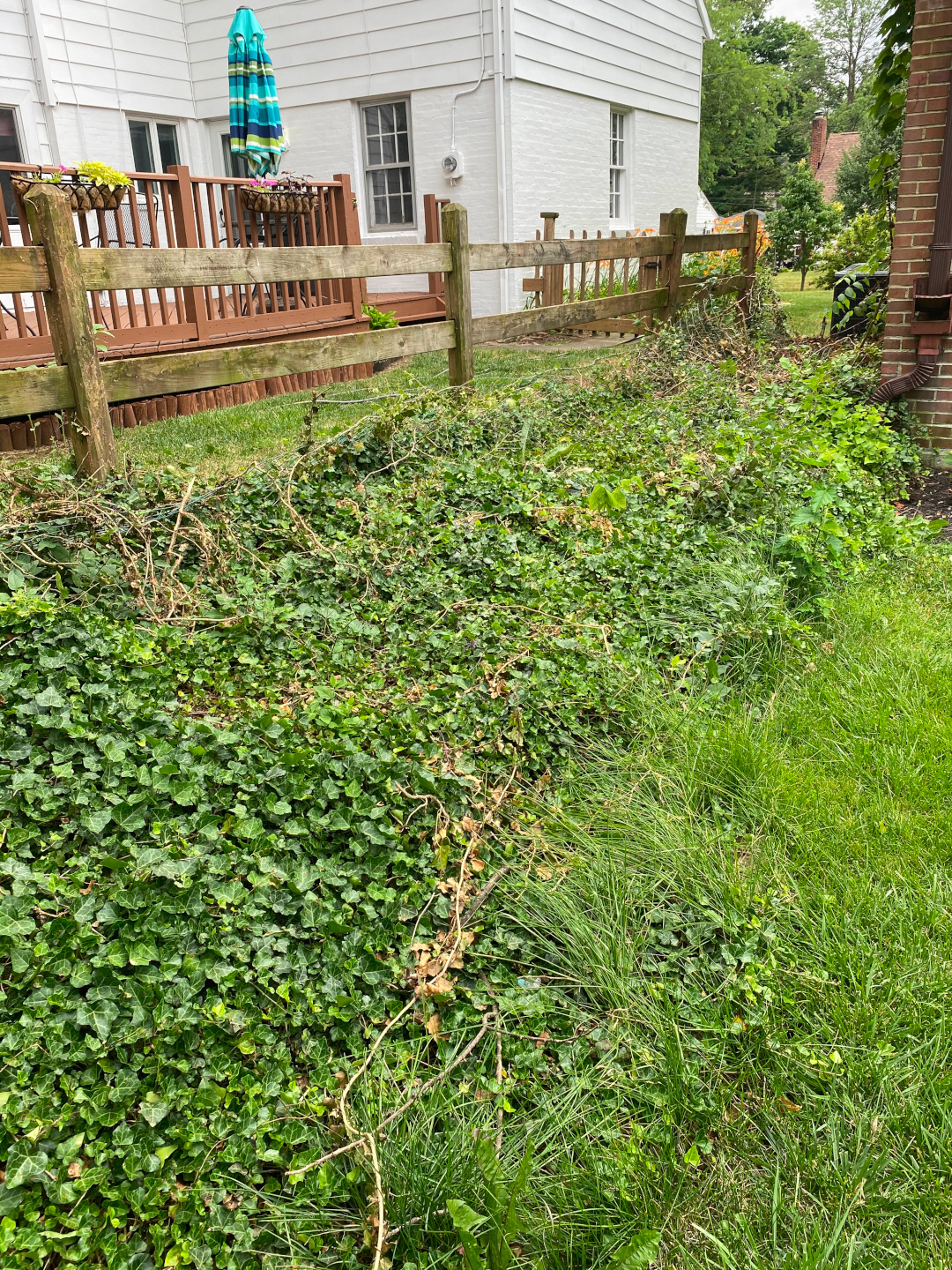 From Ivy to Flowers - Fine Gardening
