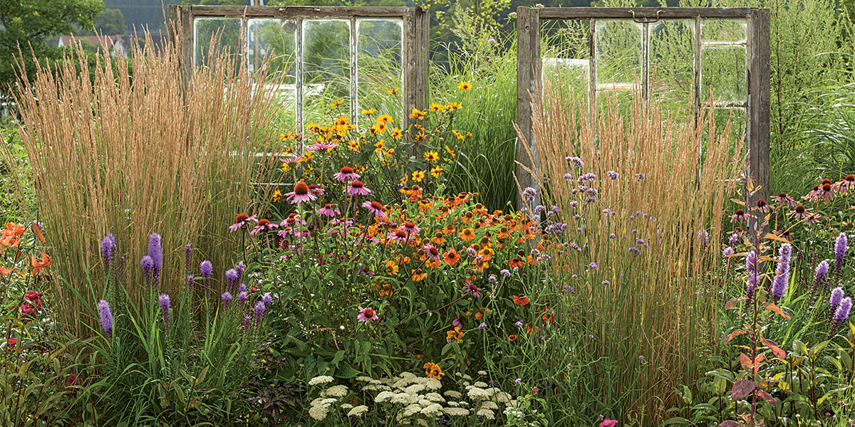 A Guide to Growing Reed Grasses: Best-Performing Varieties and Care ...