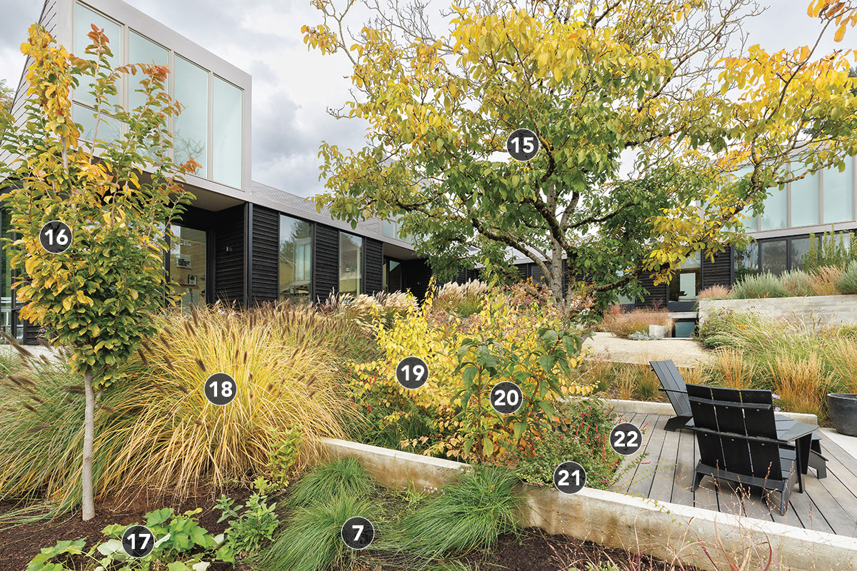 Planting Plan for a Landscape with Challenging Conditions - Fine Gardening