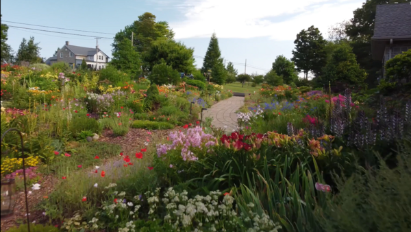 Spring in Alice’s Ontario Garden - Fine Gardening