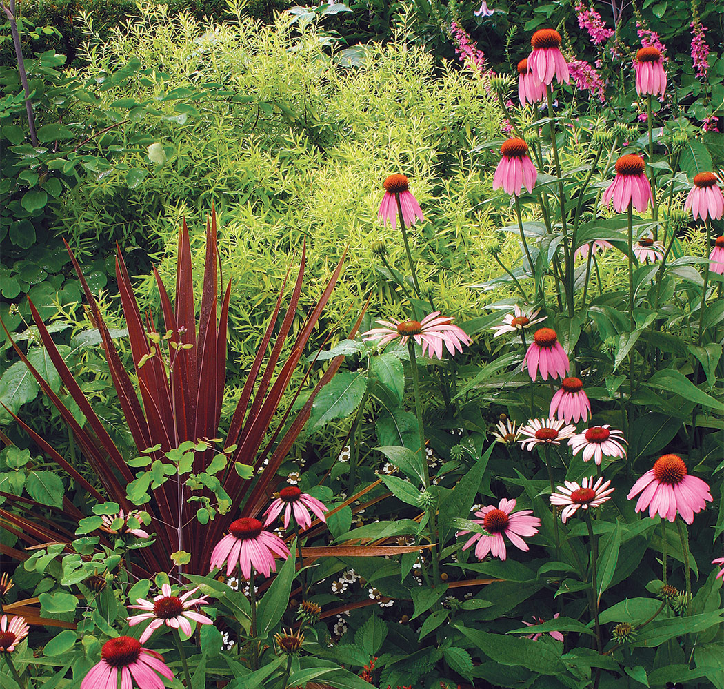 3 Gorgeous Planting Plans for a Late-Summer Show - Fine Gardening