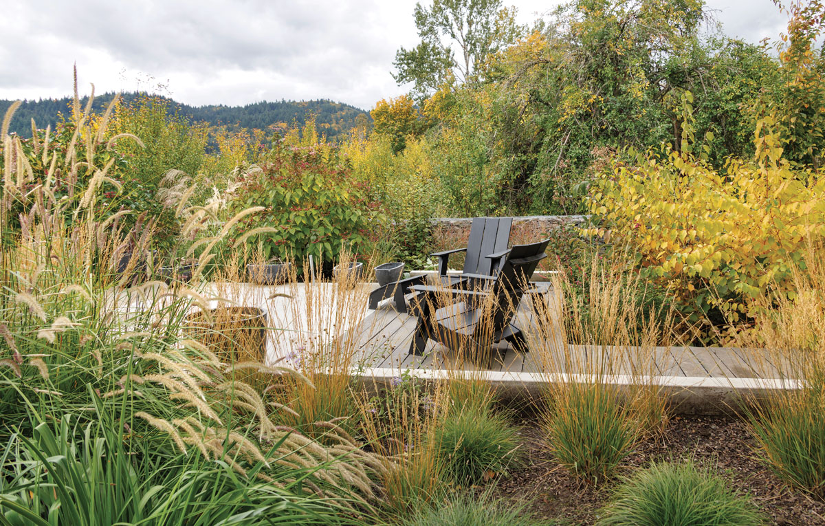 A Landscape Plan for a Challenging Area and Conditions - Fine Gardening