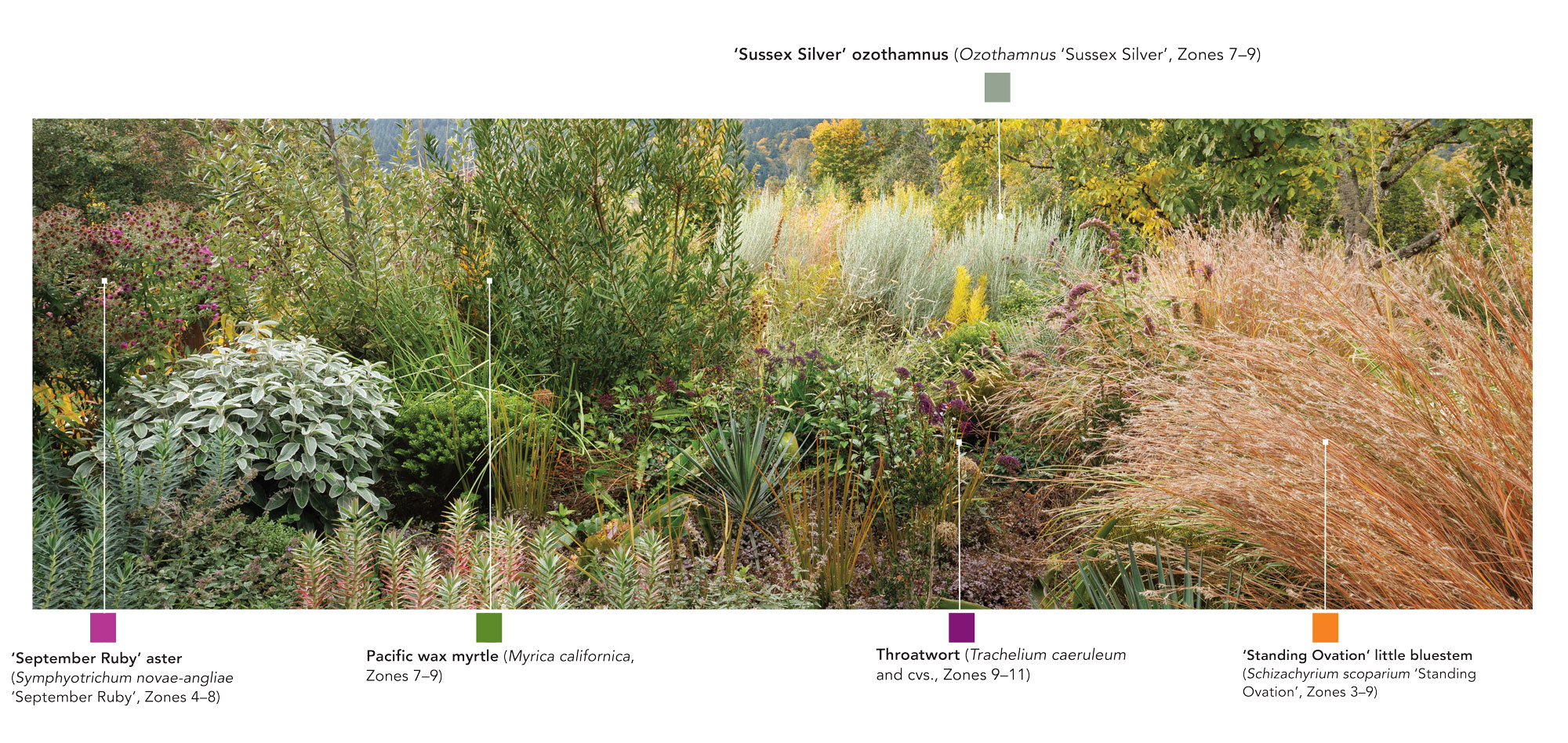 How to Choose a Garden Color Palette - Fine Gardening